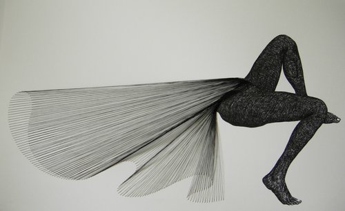 Maurizio Anzeri - COEVAL Magazine