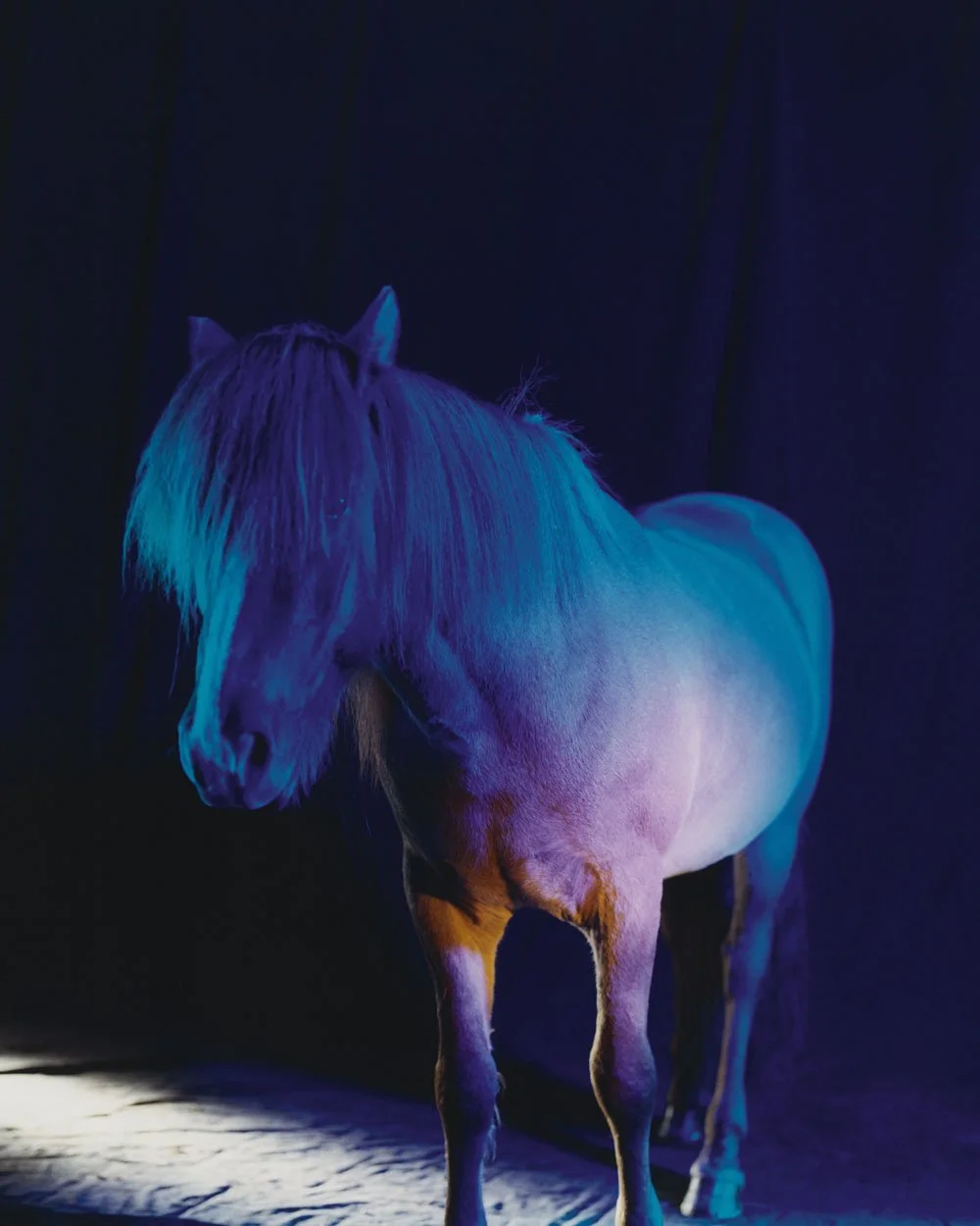 Gareth McConnell - COEVAL Magazine