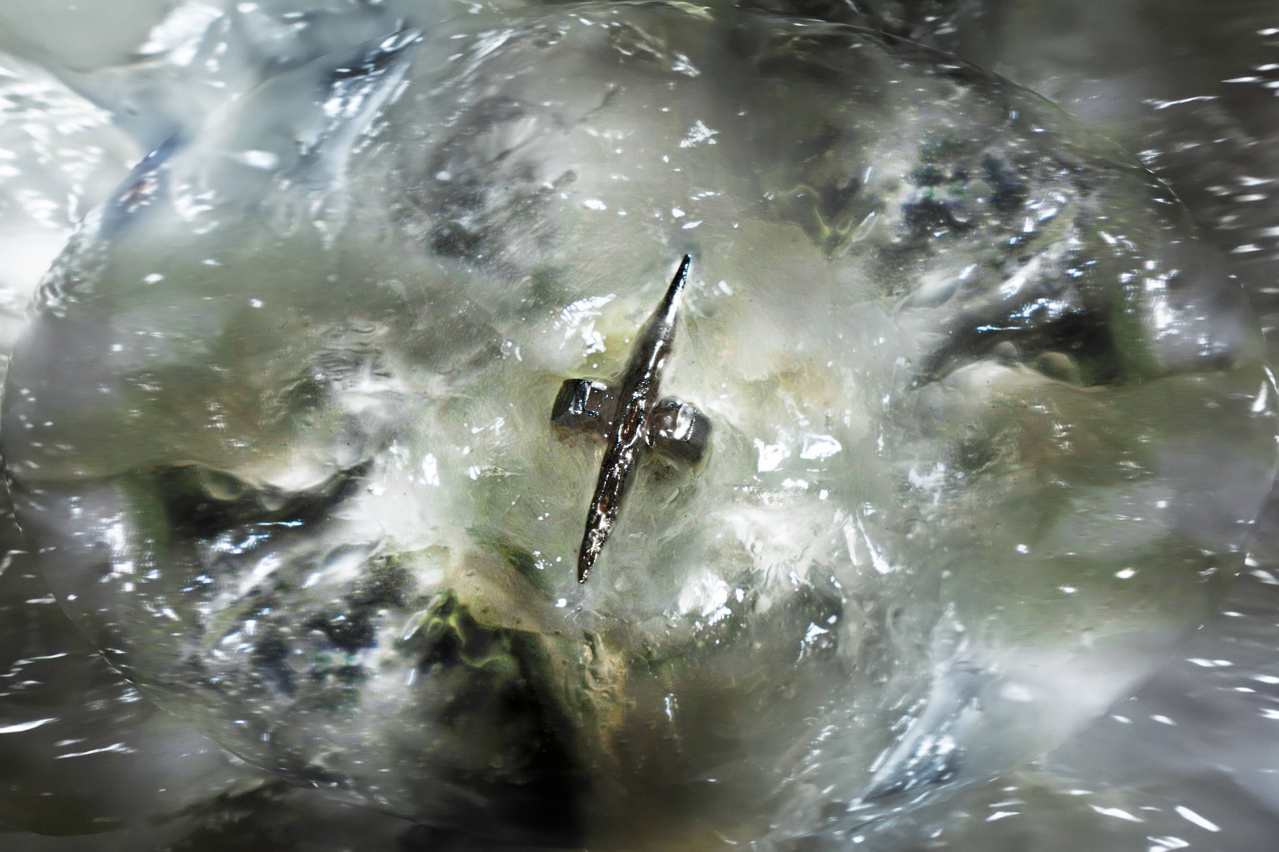 Primordial Beauty - COEVAL Magazine