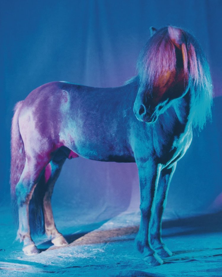 Gareth McConnell - COEVAL Magazine