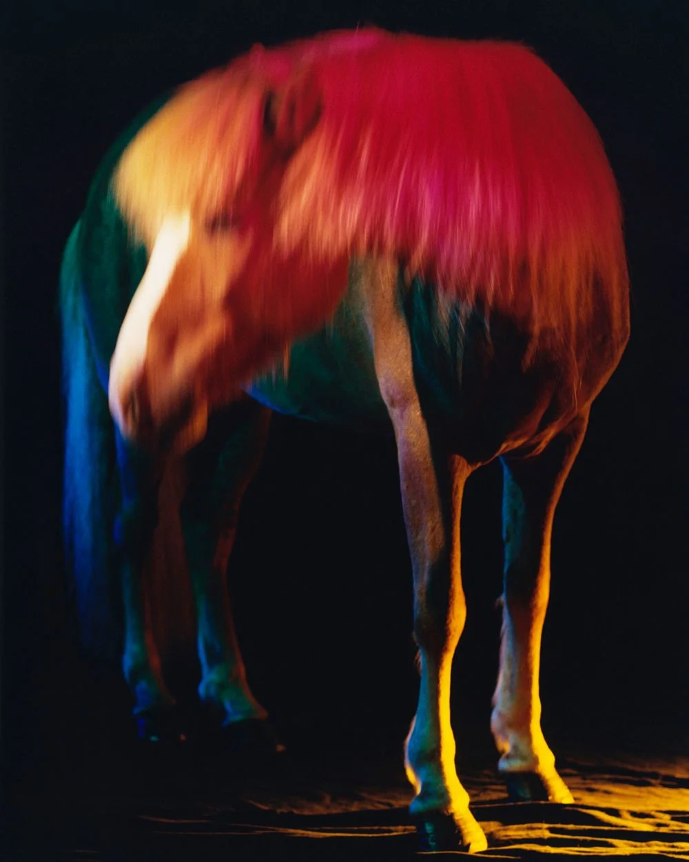 Gareth McConnell - COEVAL Magazine