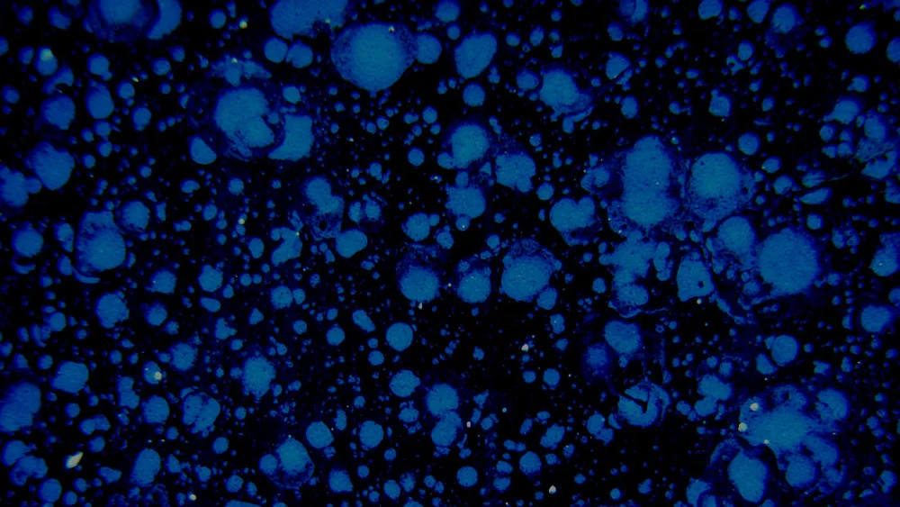 My Approach — Scott Clover