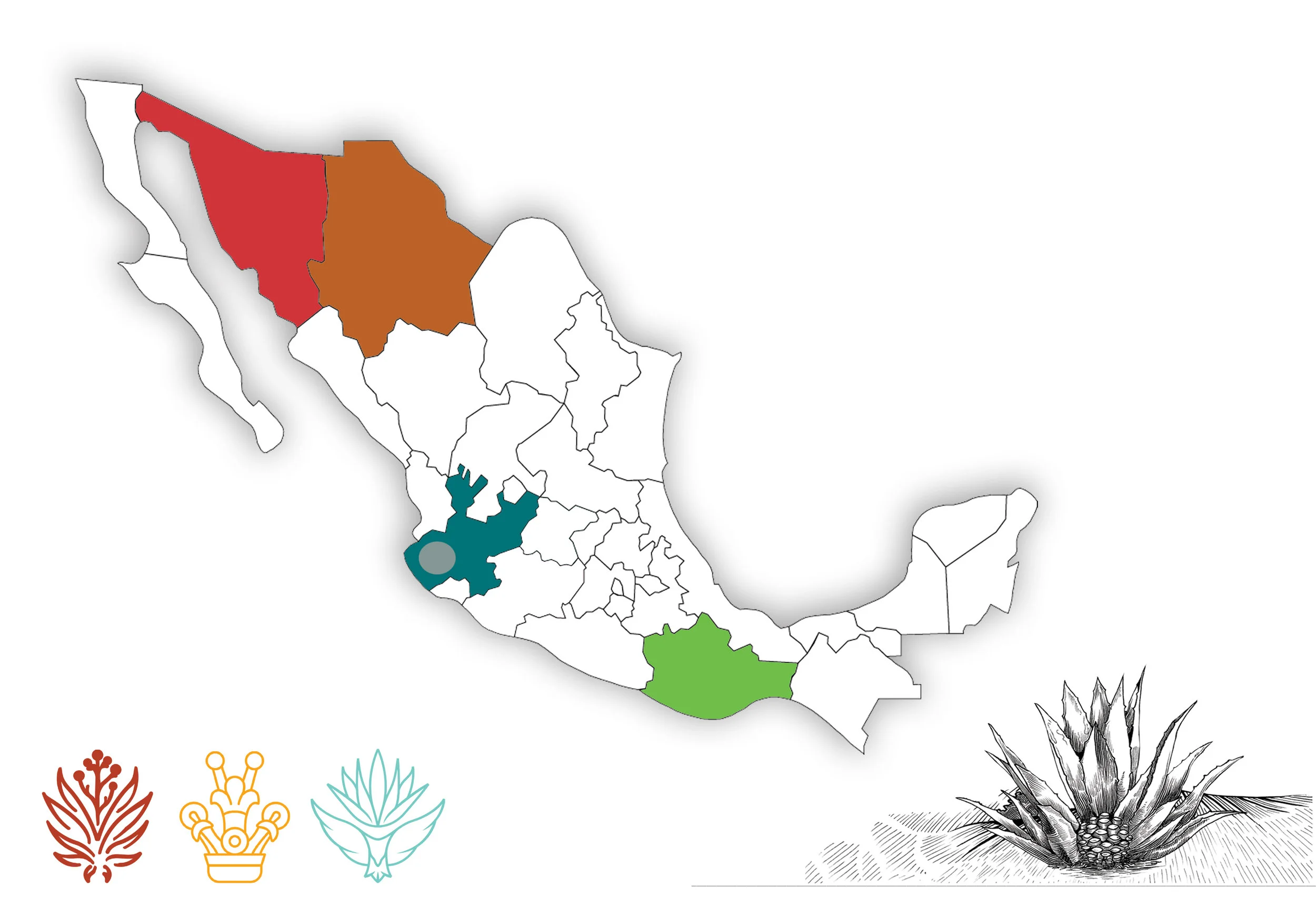 CONTACT PUNTGAVE — %AGAVE SPIRITS OF MEXICO