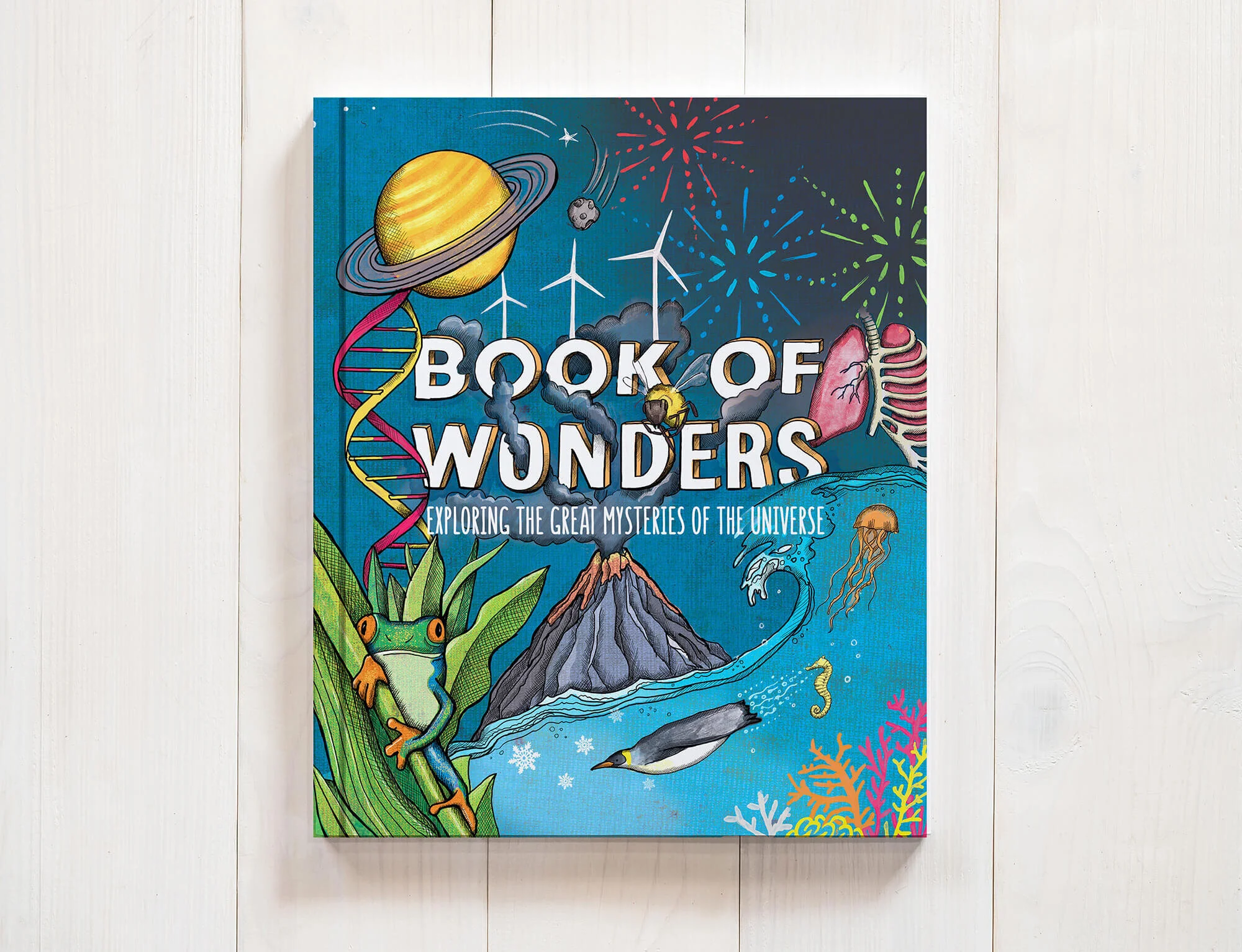 Book of Wonders Book Illustration — Lisa Maltby Illustration