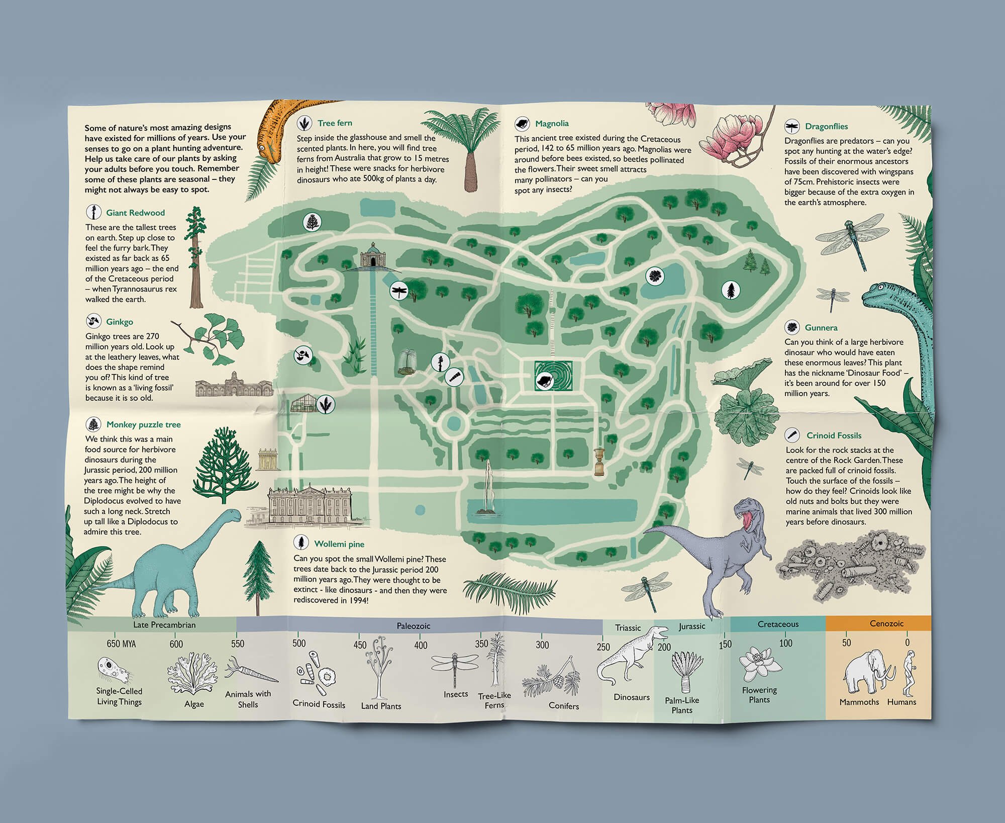 Chatsworth Prehistoric Explorers Trail — Lisa Maltby Illustration