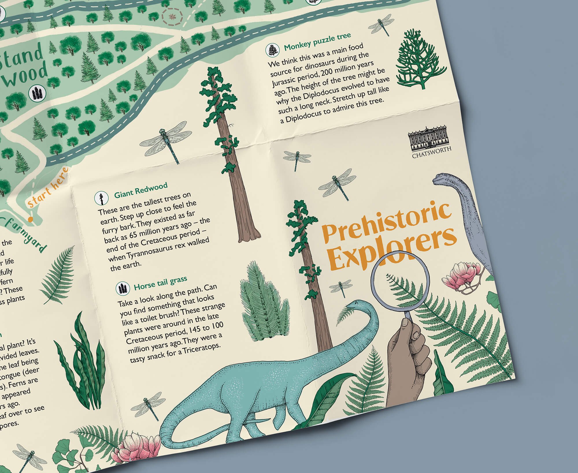 Chatsworth Prehistoric Explorers Trail — Lisa Maltby Illustration