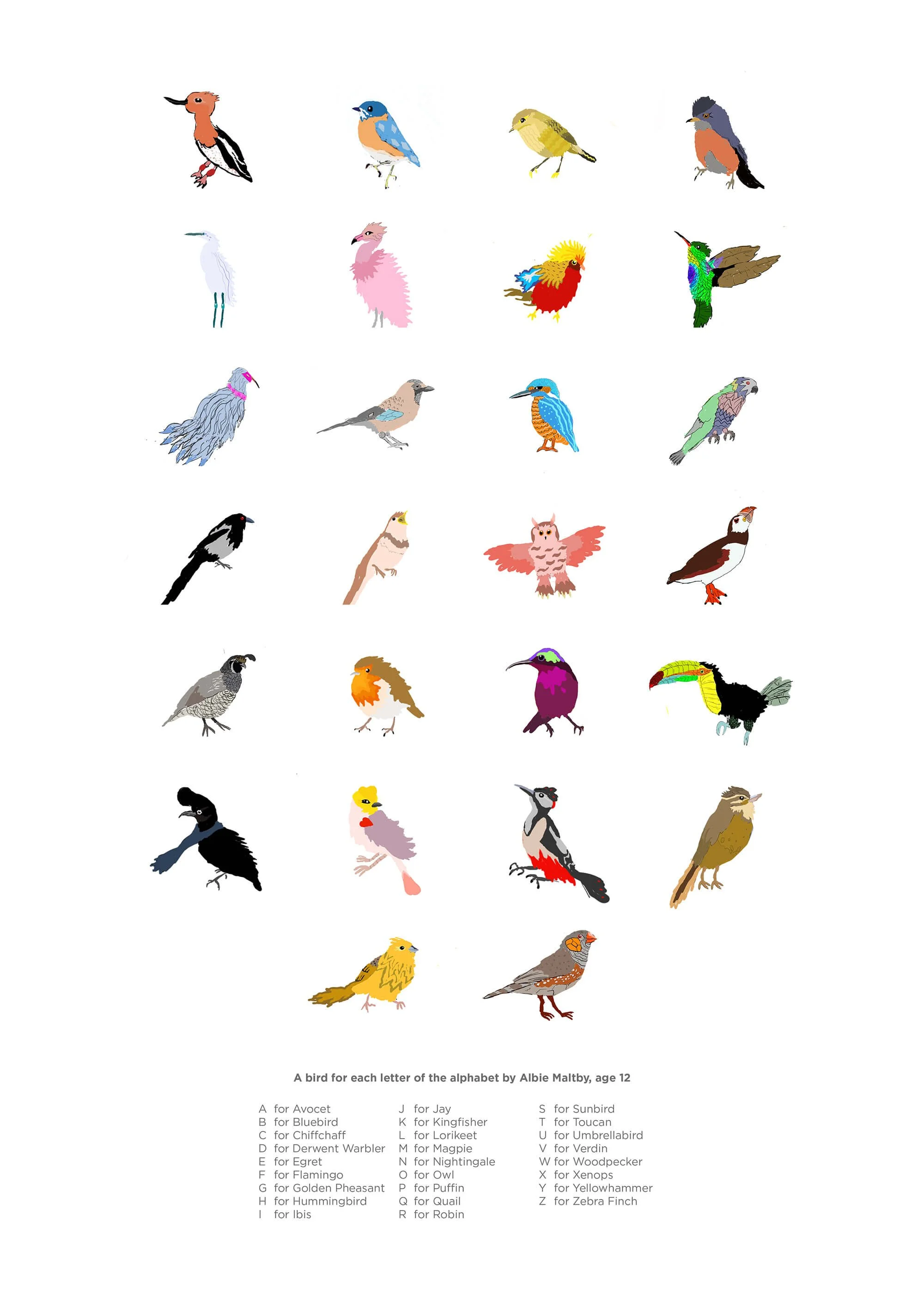 Bird-Themed Illustrated Letters — Lisa Maltby