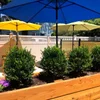 River Mill Tavern and Tables, 100 Ocean Ave, Lynbrook, NY