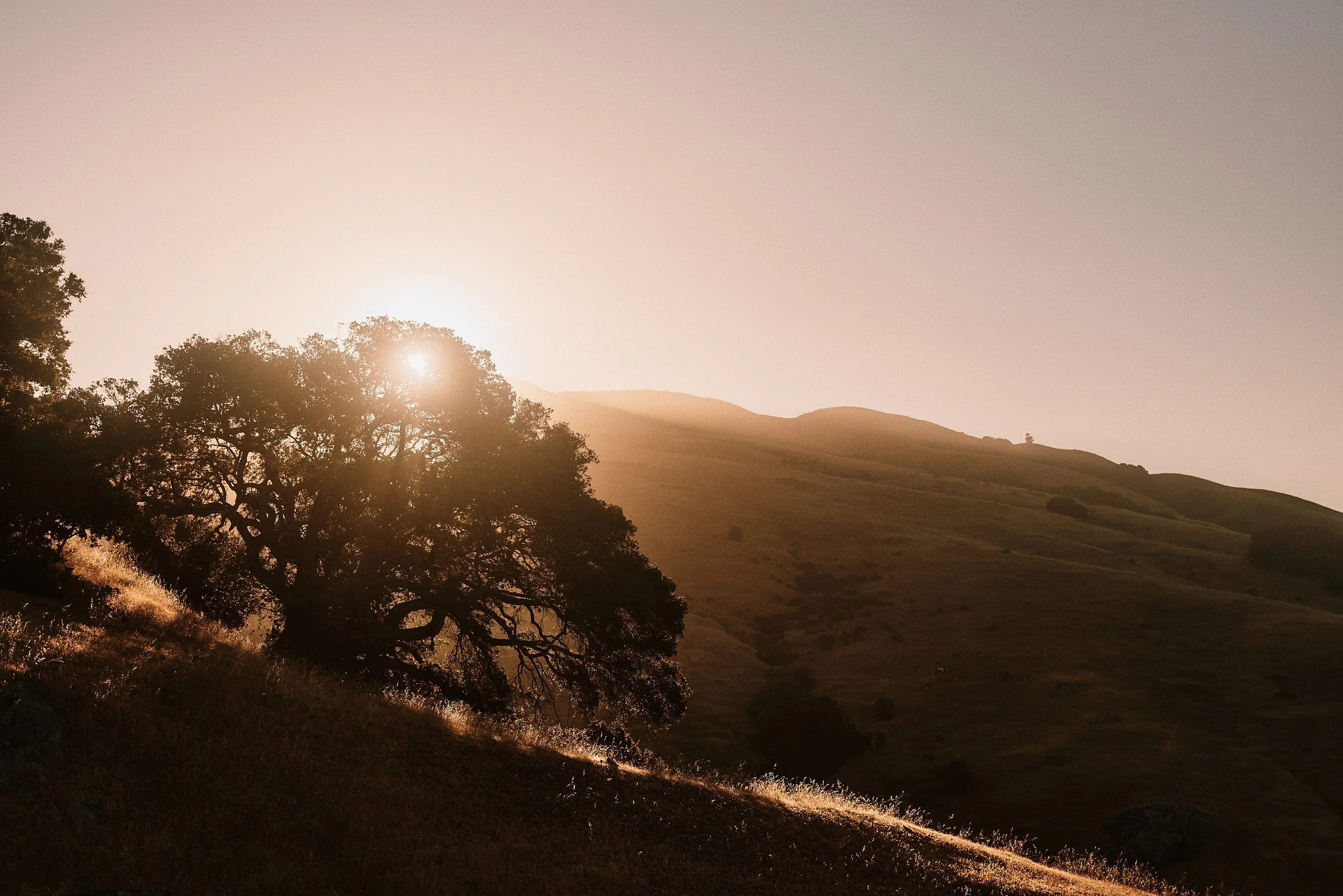 Lifestyle — Ryan Murray Photo