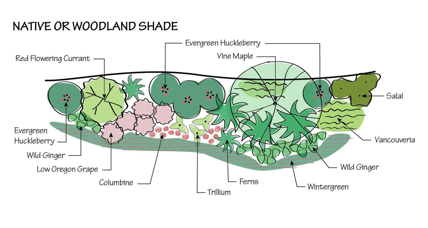 Designing Your Shade Garden — Seattle's Favorite Garden Store Since ...