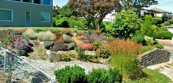 Garden Design 101: Where Do I Start? — Seattle's Favorite Garden Store ...