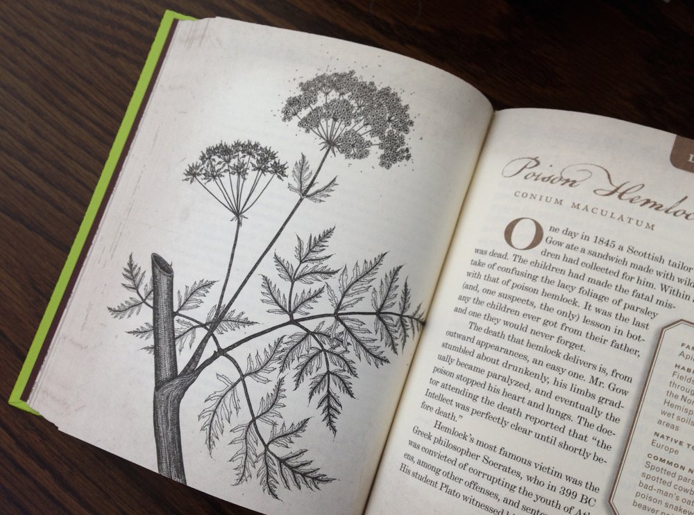 Book Review: Wicked Plants by Amy Stewart — Seattle's Favorite Garden ...