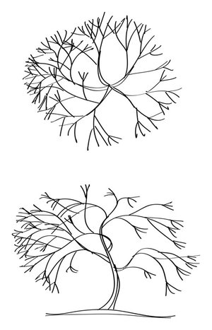 Spring Pruning Pt. 2: Thinning — Seattle's Favorite Garden Store Since ...