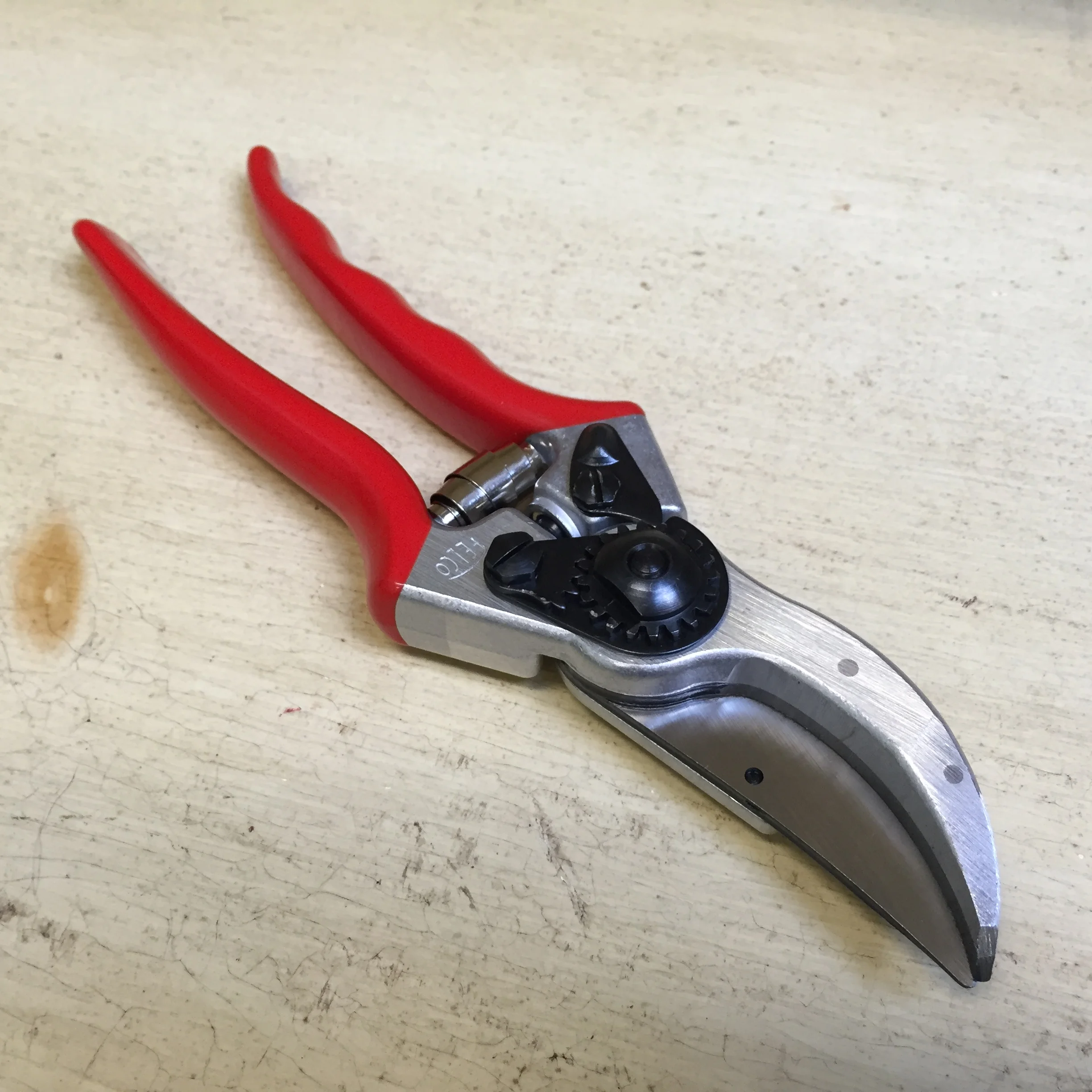 Pruning 101 — Seattle's Favorite Garden Store Since 1924 - Swansons Nursery