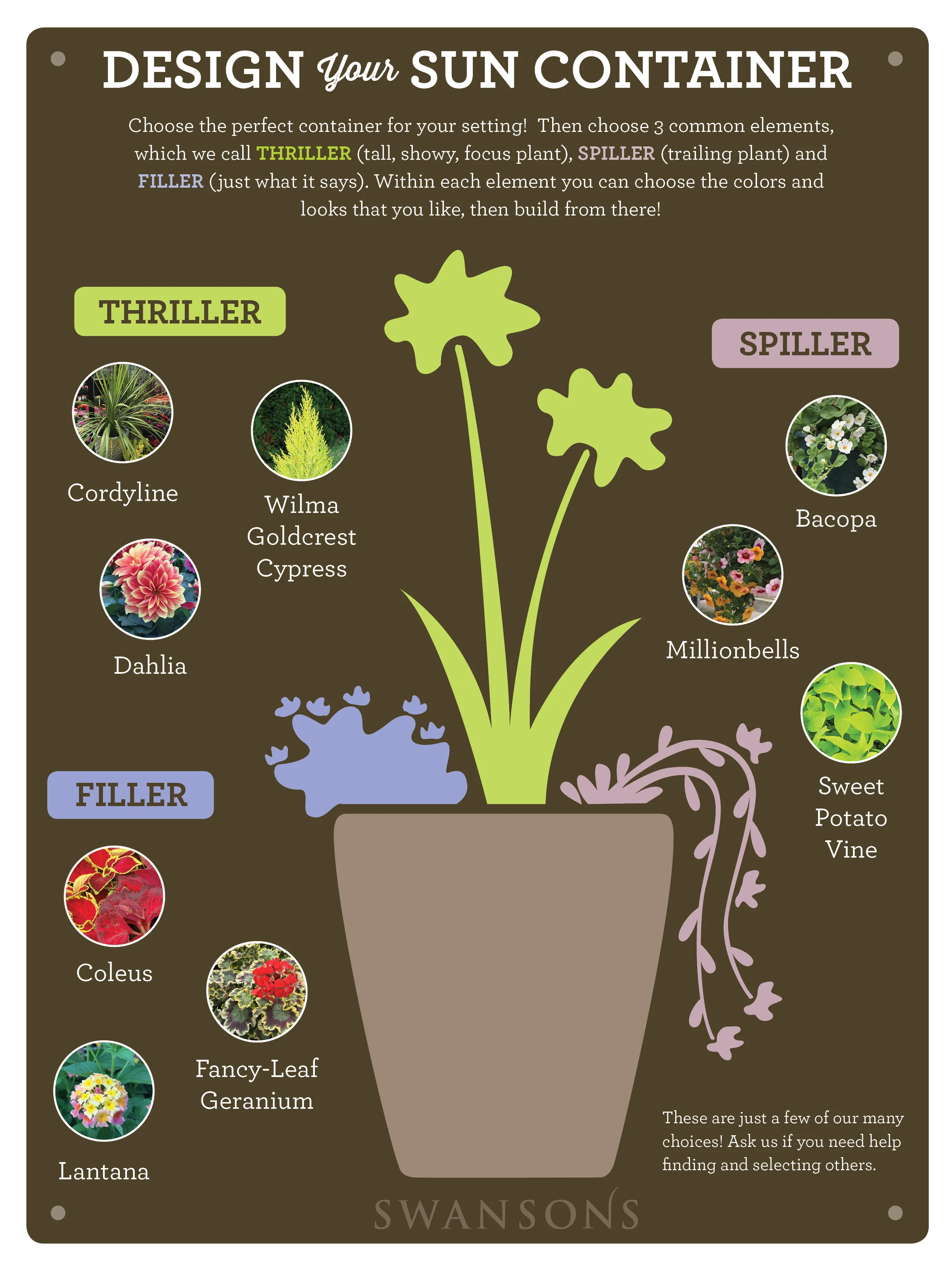 Container Design for Sun: Simple Style Solutions — Seattle's Favorite ...