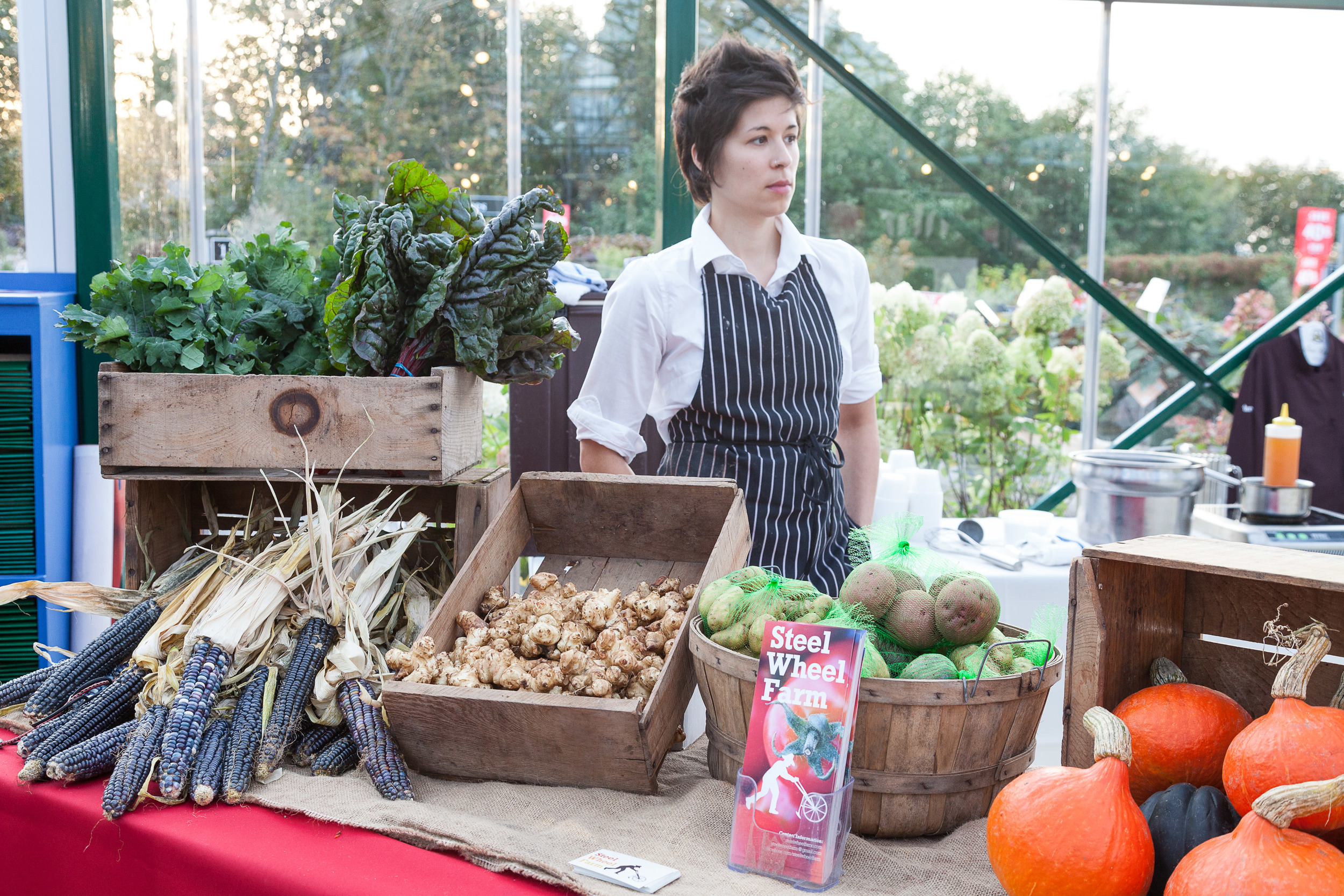 An Incredible Feast — Seattle's Favorite Garden Store Since 1924 ...