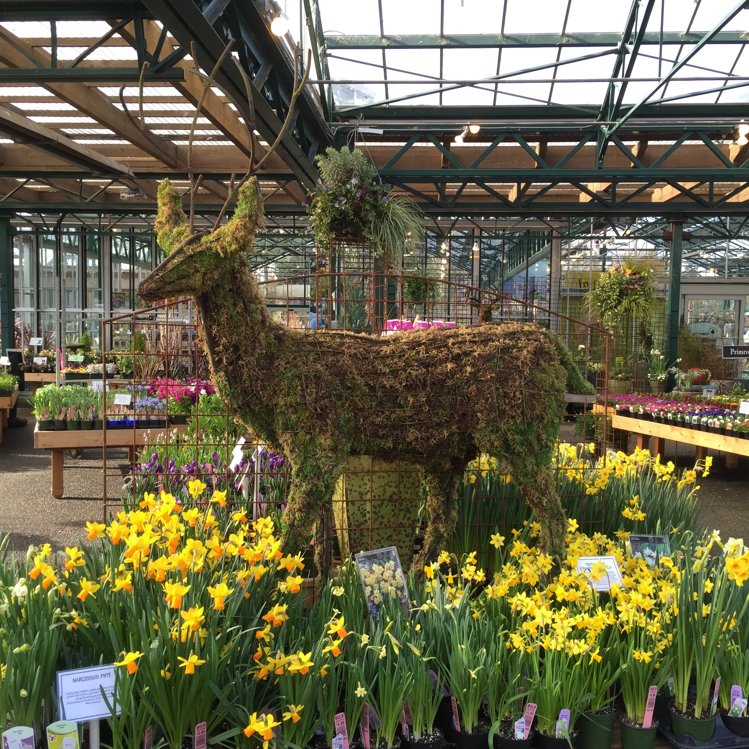 2016 Was an Eventful Year at Swansons! — Seattle's Favorite Garden ...