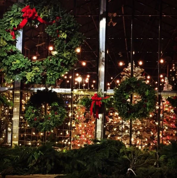 2016 Was an Eventful Year at Swansons! — Seattle's Favorite Garden ...