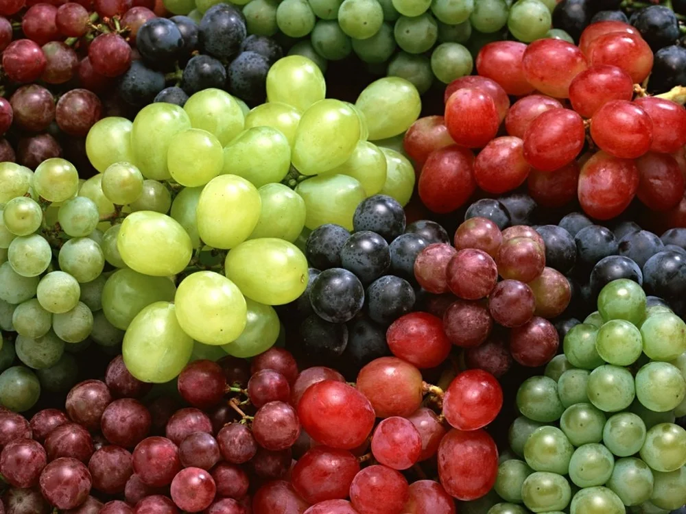 Growing Small Fruits & Berries in the PNW — Seattle's Favorite Garden ...