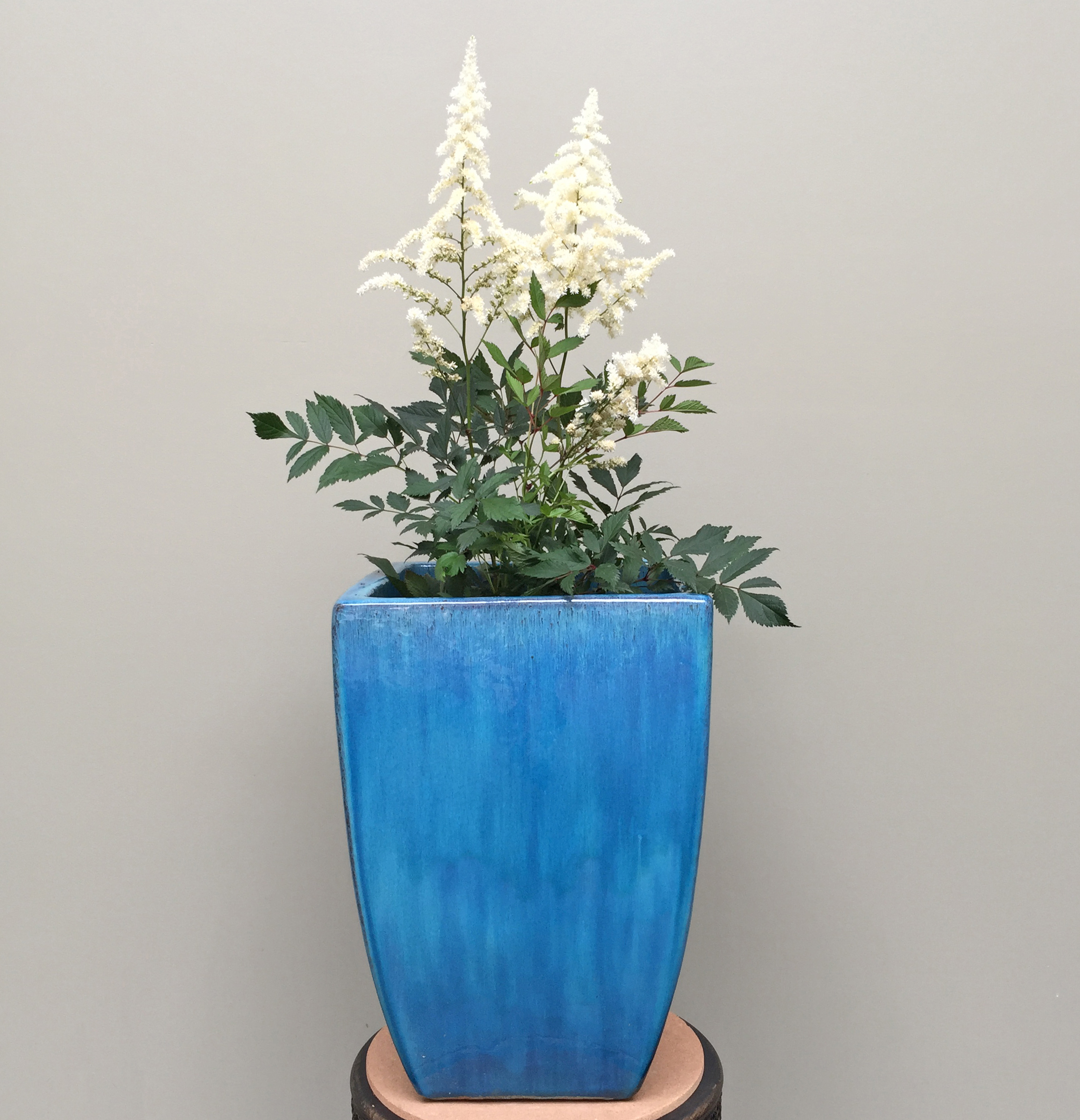 Choosing The Right Container For Your Garden — Seattle's Favorite ...