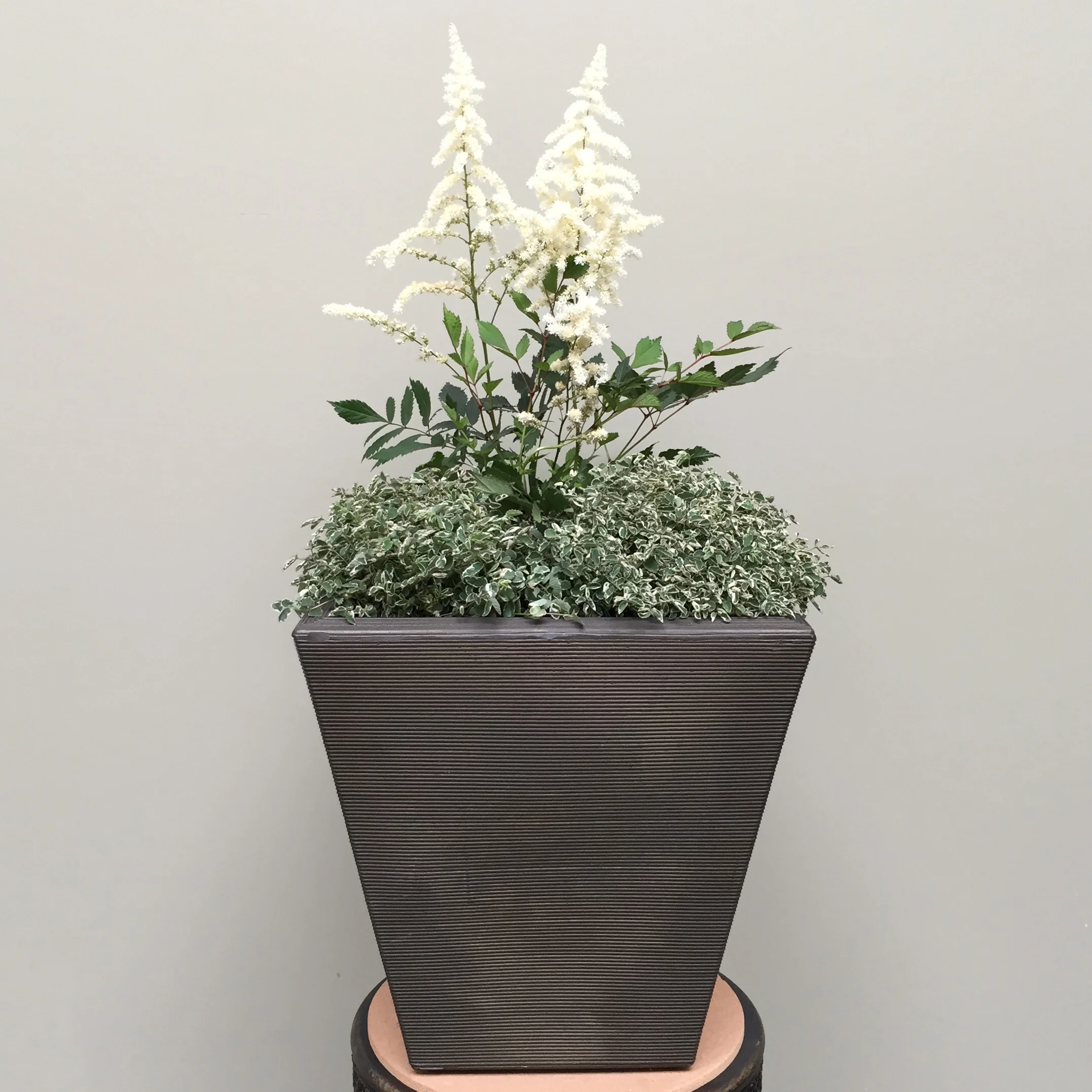 Choosing The Right Container For Your Garden — Seattle's Favorite ...