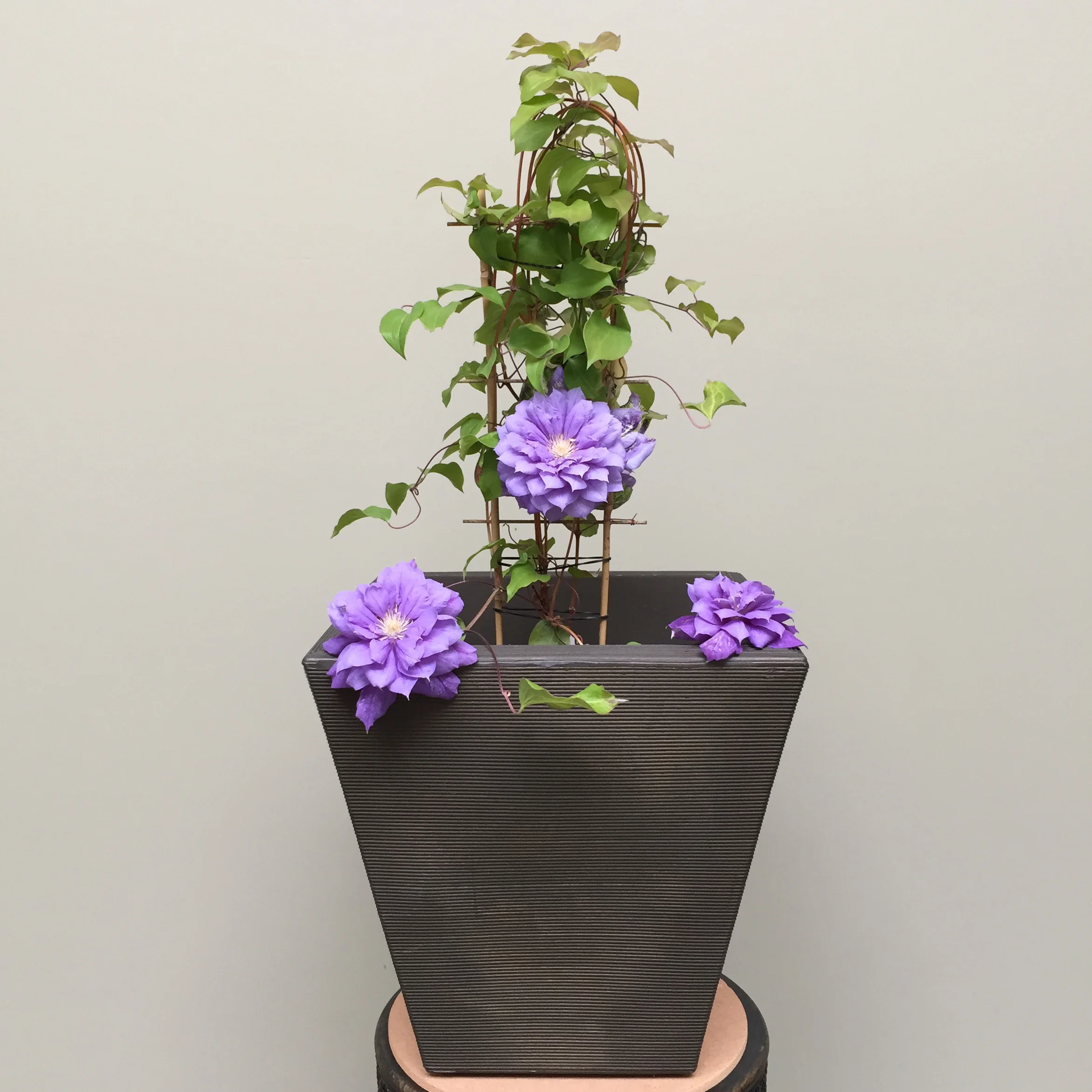 Choosing The Right Container For Your Garden — Seattle's Favorite ...