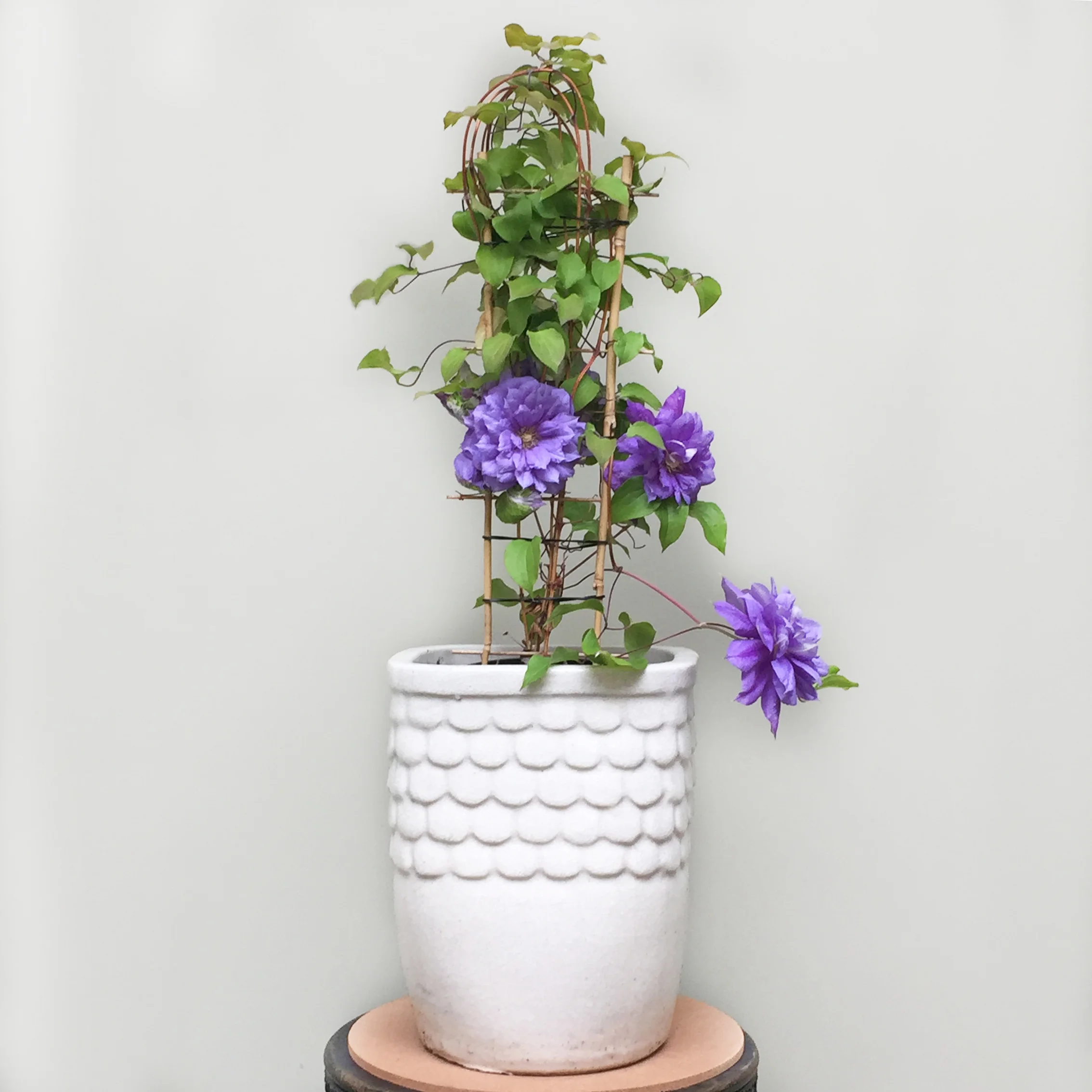 Choosing The Right Container For Your Garden — Seattle's Favorite ...