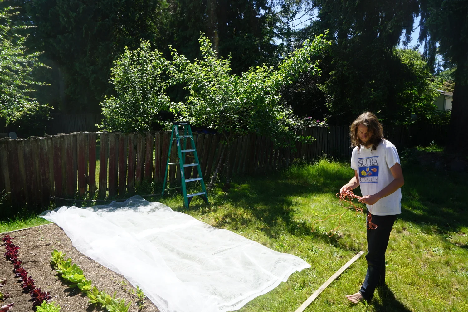 Using Netting For Better Fruit Harvests — Seattle's Favorite Garden ...