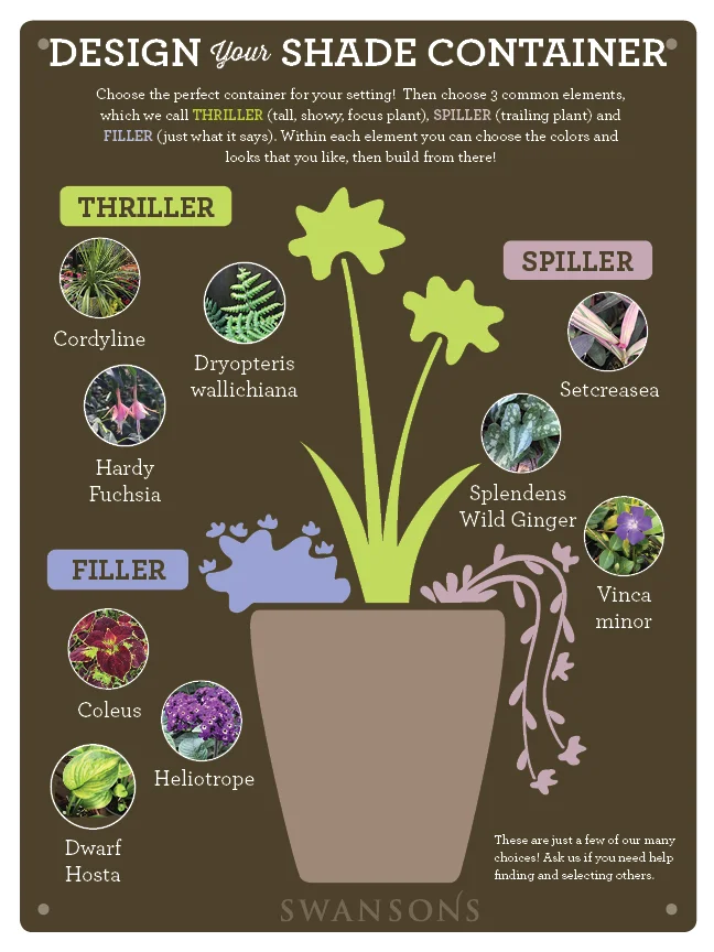 Container Design for Shade — Seattle's Favorite Garden Store Since 1924 ...