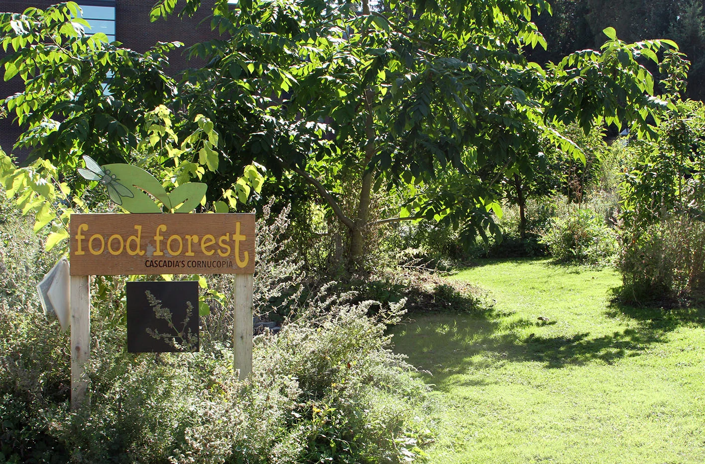 A Food Forest Grows in Bothell — Seattle's Favorite Garden Store Since ...