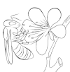 Pollinator coloring pages — Seattle's Favorite Garden Store Since 1924 ...