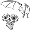 Pollinator coloring pages — Seattle's Favorite Garden Store Since 1924 ...