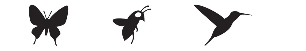 11 Flowers That Attract Bees, Butterflies, and Hummingbirds to Your ...