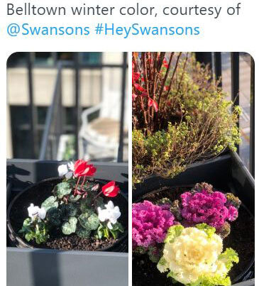 Customer Rewards — Seattle's Favorite Garden Store Since 1924 ...