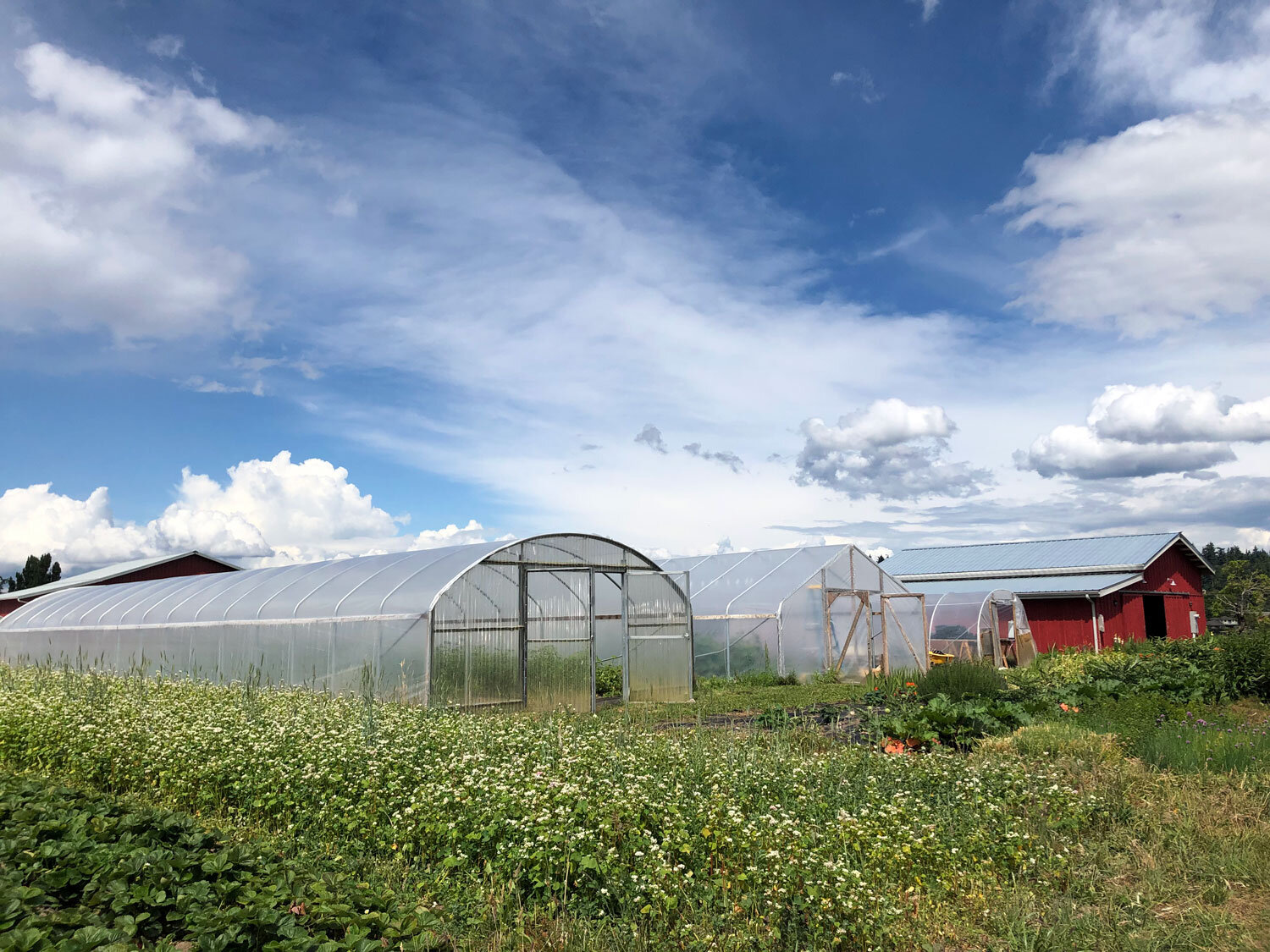 Deep Harvest Farm Tour — Seattle's Favorite Garden Store Since 1924 ...