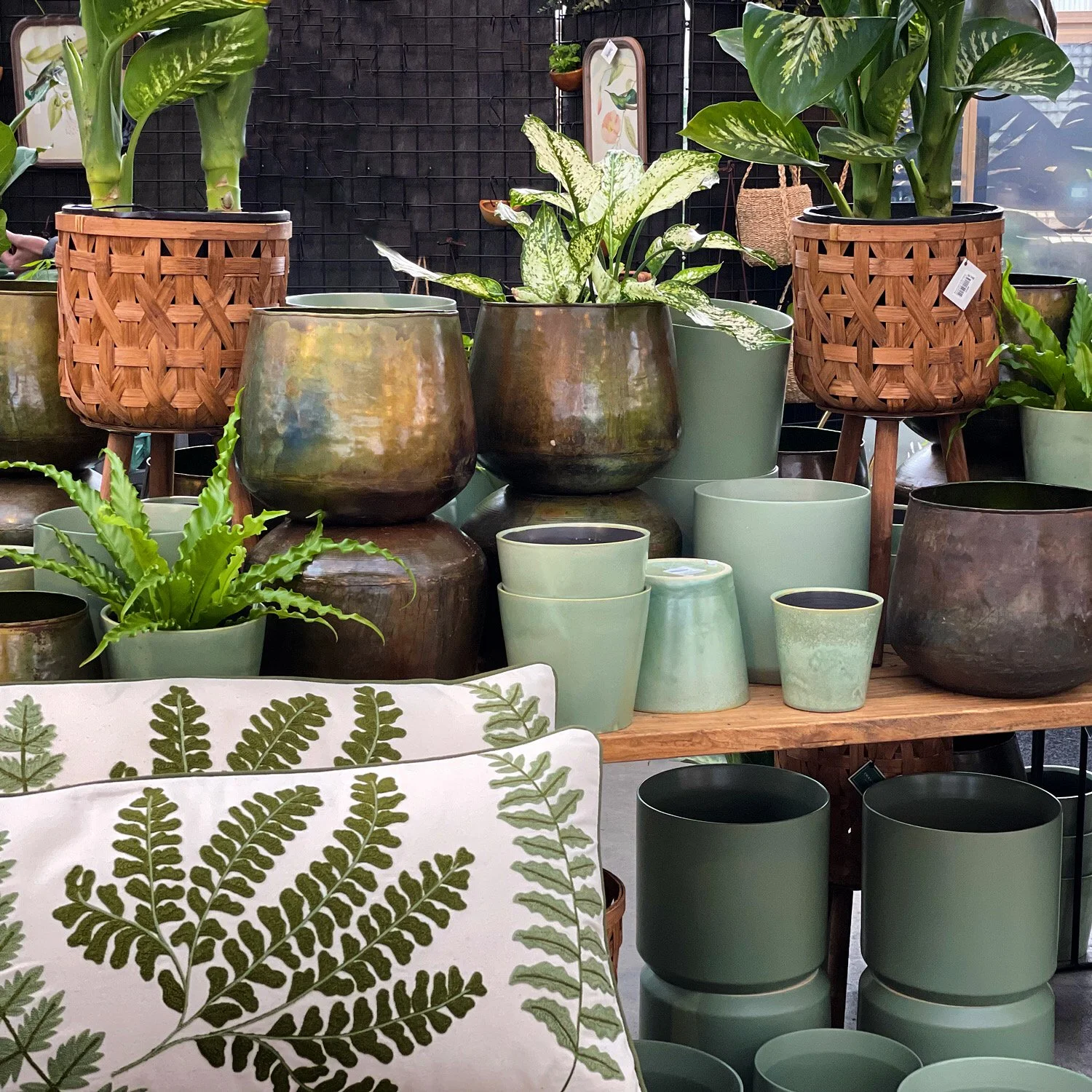 Pots for Indoor Plants — Seattle's Favorite Garden Store Since 1924 ...