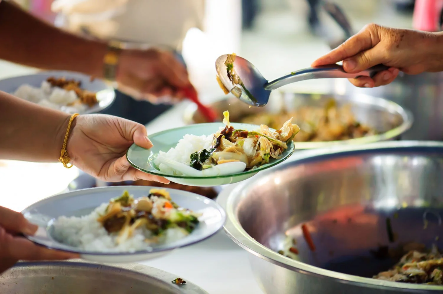 Seattle's Favorite Garden Store Since 1924 - Swansons Nursery