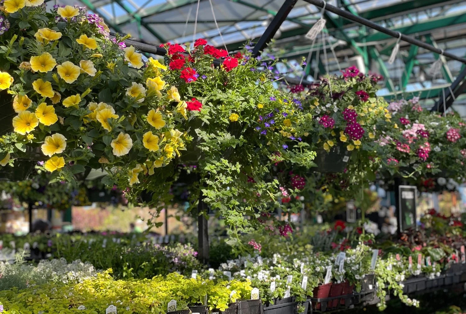 What's Happening — Seattle's Favorite Garden Store Since 1924 ...