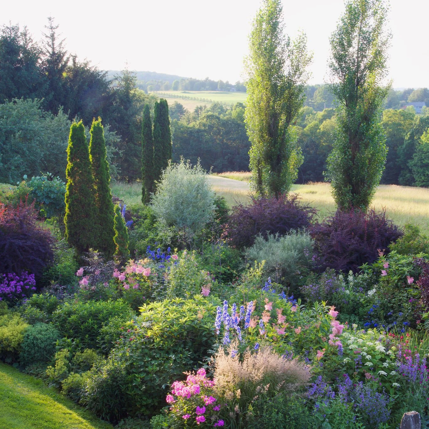 Seattle's Favorite Garden Store Since 1924 - Swansons Nursery