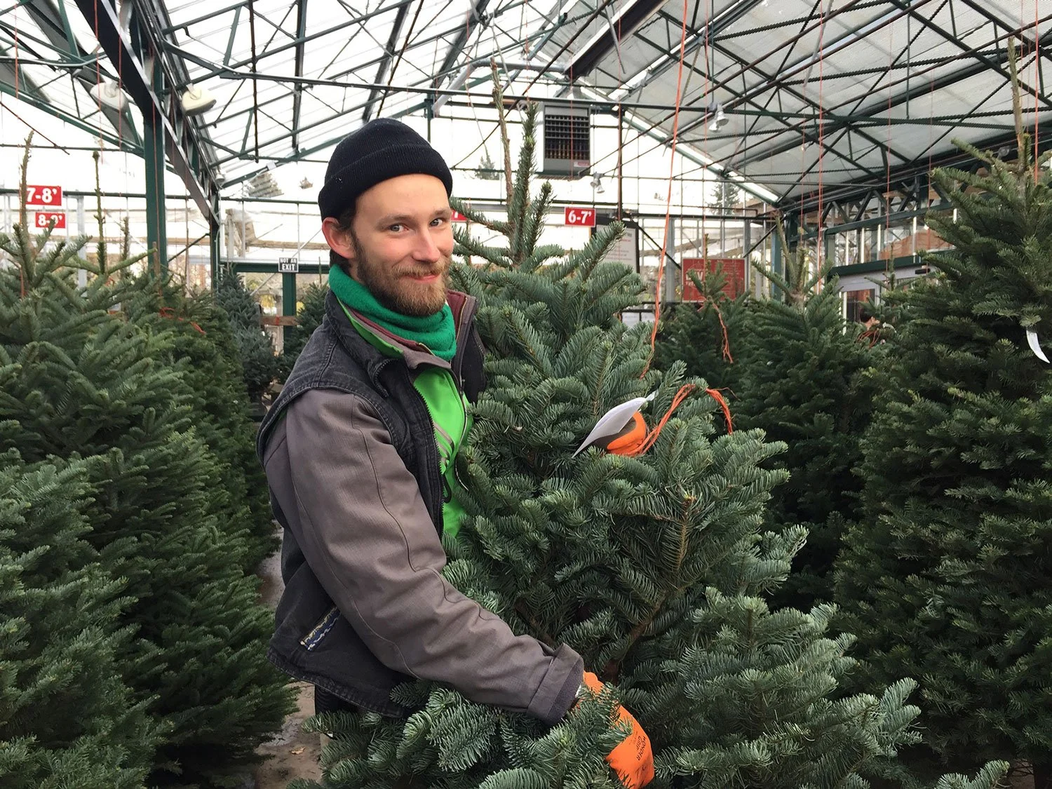 Seattle's Favorite Garden Store Since 1924 - Swansons Nursery