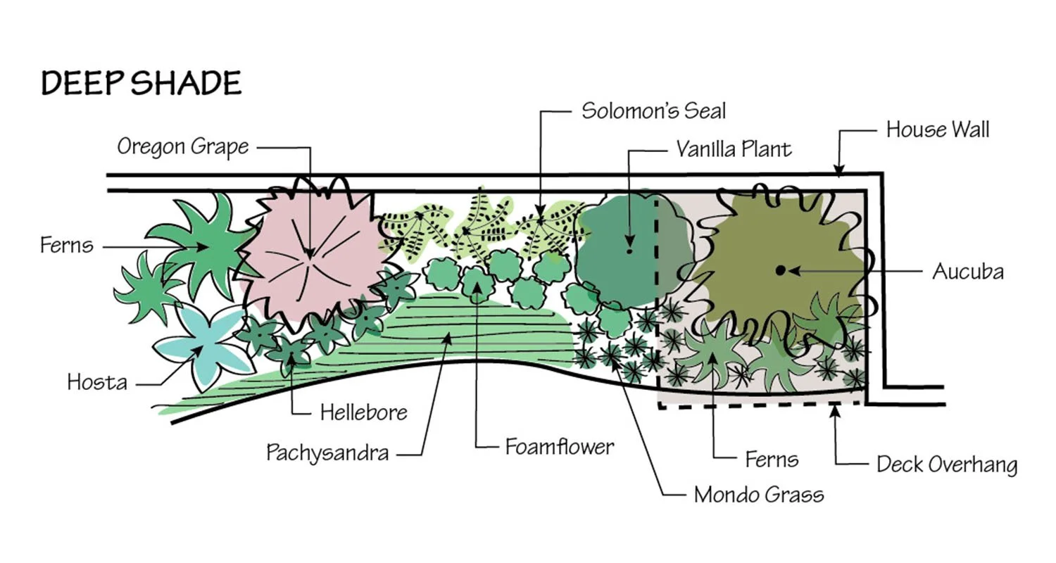 Designing Your Shade Garden — Seattle's Favorite Garden Store Since ...