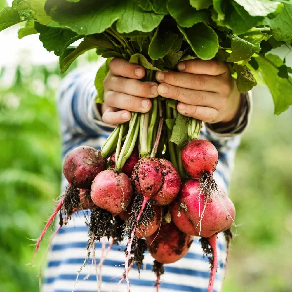 June Gardening Tips — Seattle's Favorite Garden Store Since 1924 ...