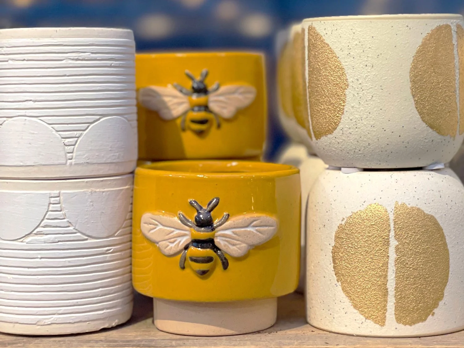 Pots for Indoor Plants — Seattle's Favorite Garden Store Since 1924 ...