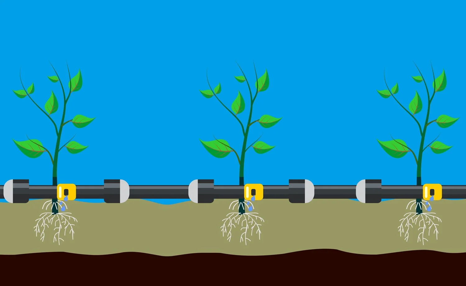 Demystifying a Drip Irrigation System — Seattle's Favorite Garden Store ...