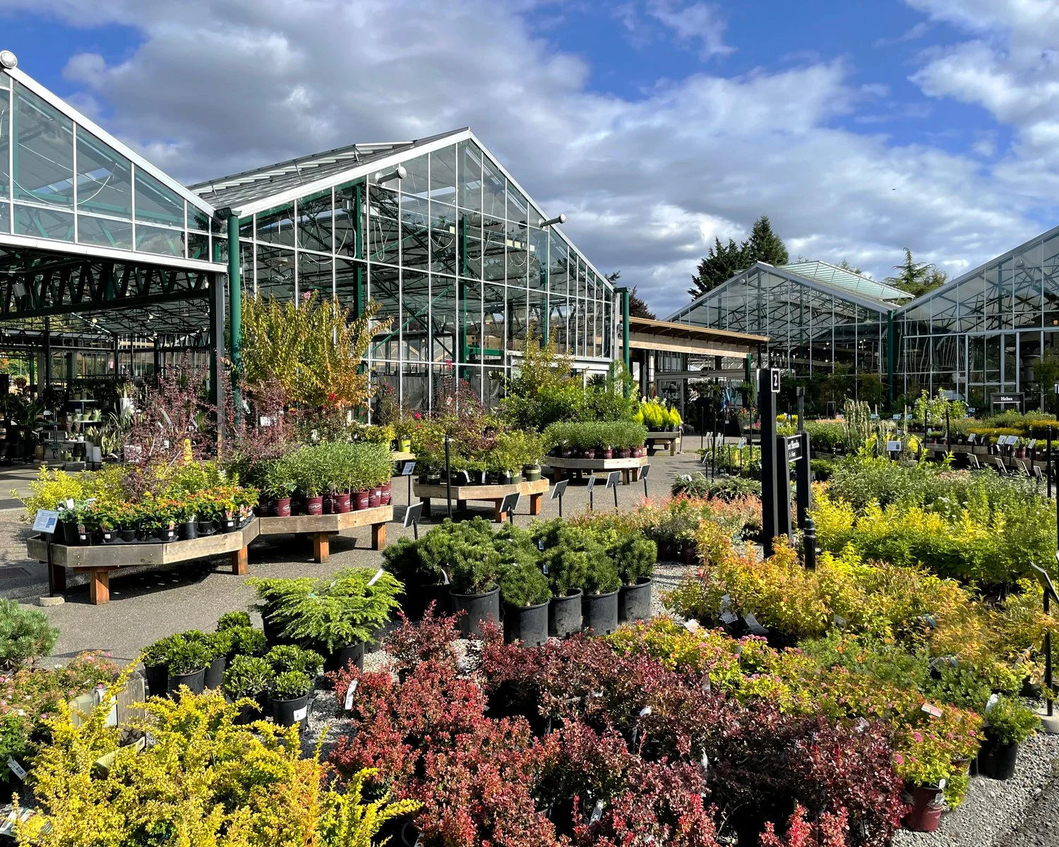 Plan Your Trip — Seattle's Favorite Garden Store Since 1924 - Swansons ...