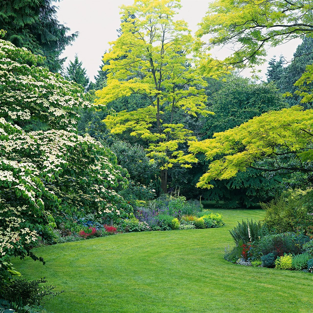 Plants for Shade Gardens — Seattle's Favorite Garden Store Since 1924 ...