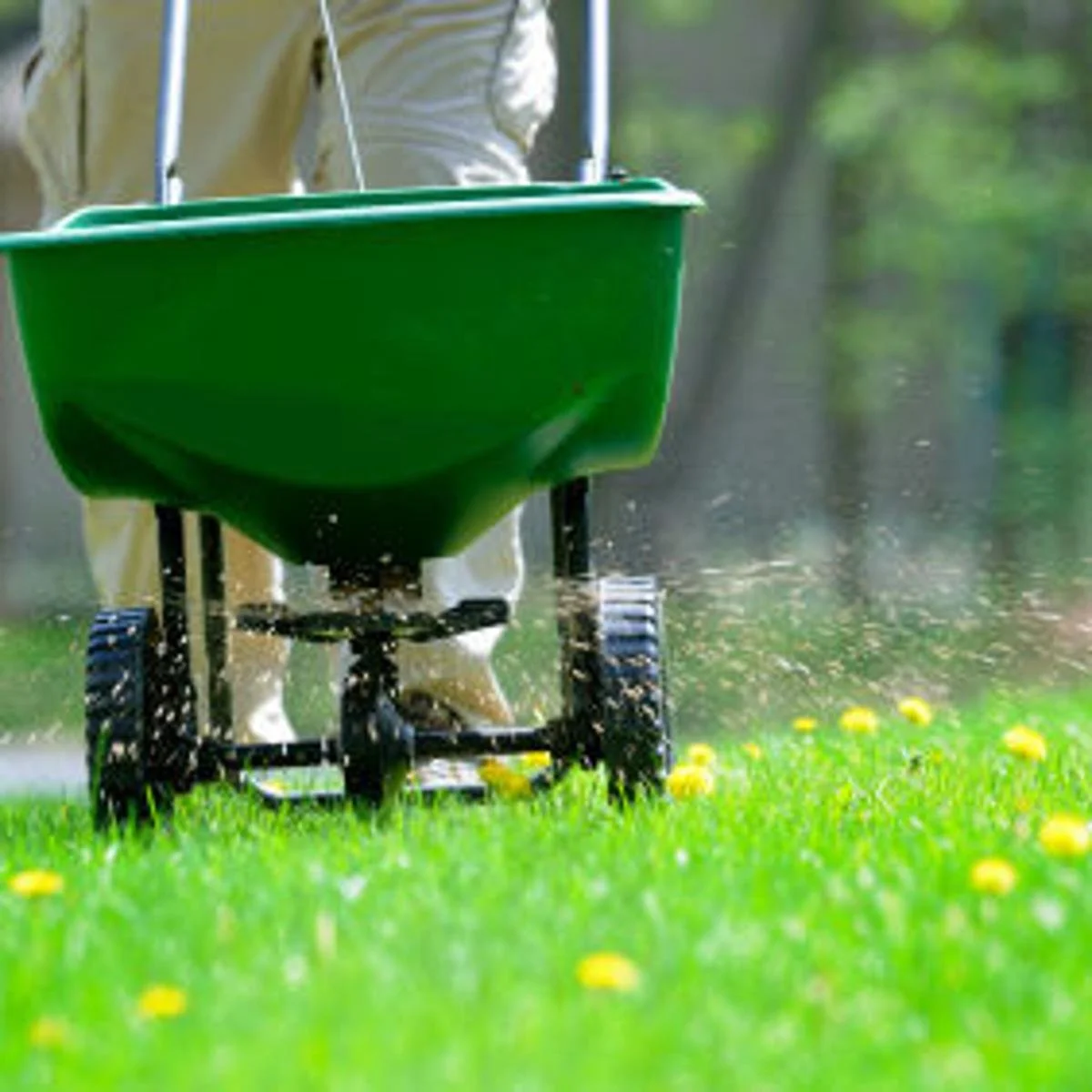 April Gardening Tips — Seattle's Favorite Garden Store Since 1924 ...