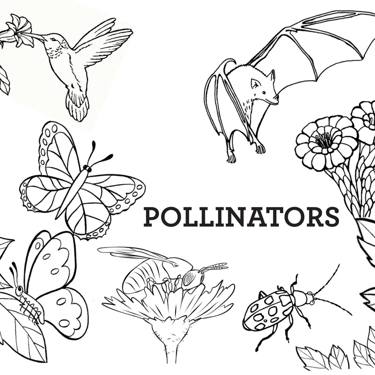 Family Activities — Seattle's Favorite Garden Store Since 1924 ...