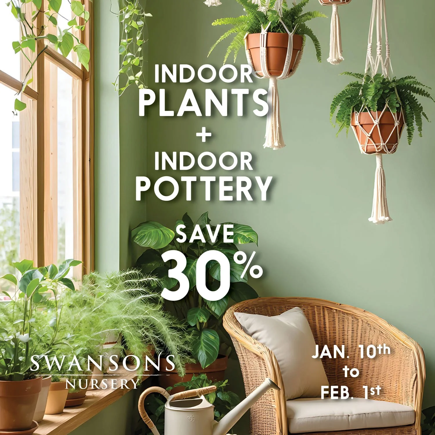 Indoor Plants — Seattle's Favorite Garden Store Since 1924 - Swansons ...
