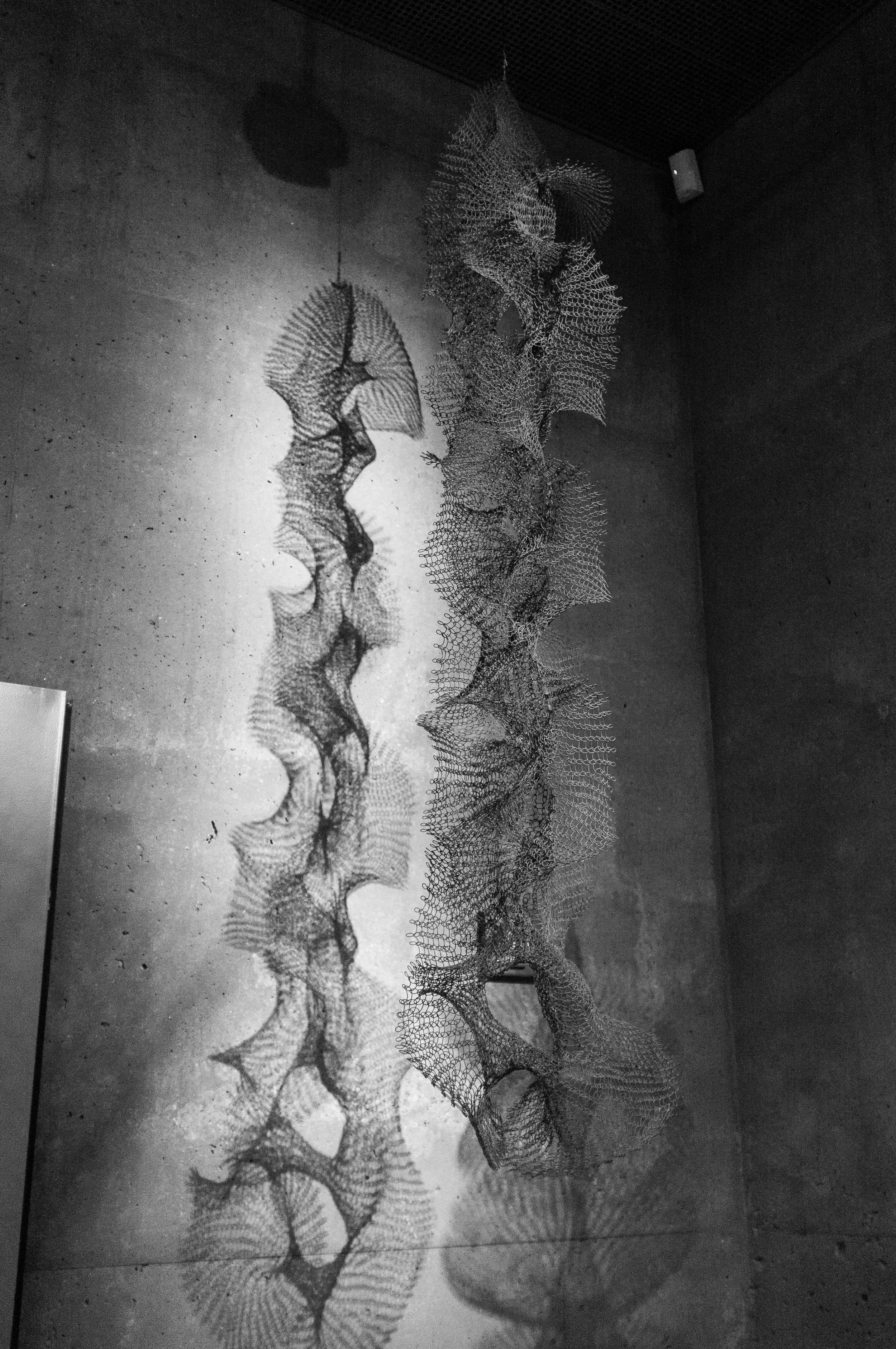 San Francisco — SILVERTHORNE PHOTOGRAPHY